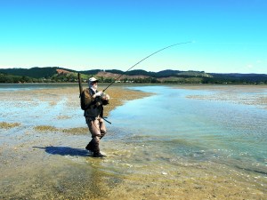 FIGHTING FISH FROM THE SHORE – Active Angling New Zealand