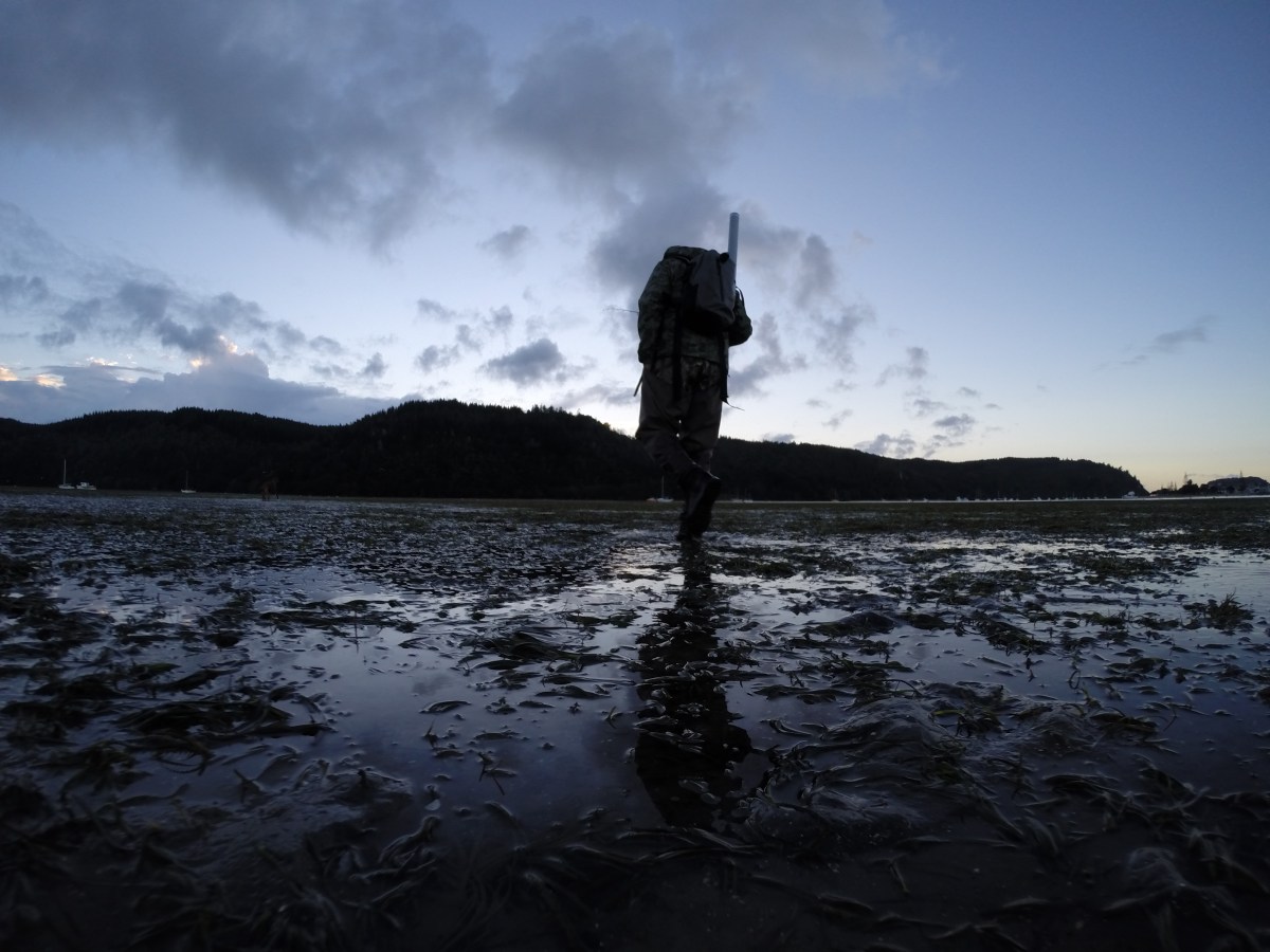 TIDES AND SAFETY – THE RULE OF TWELFTHS – Active Angling New Zealand