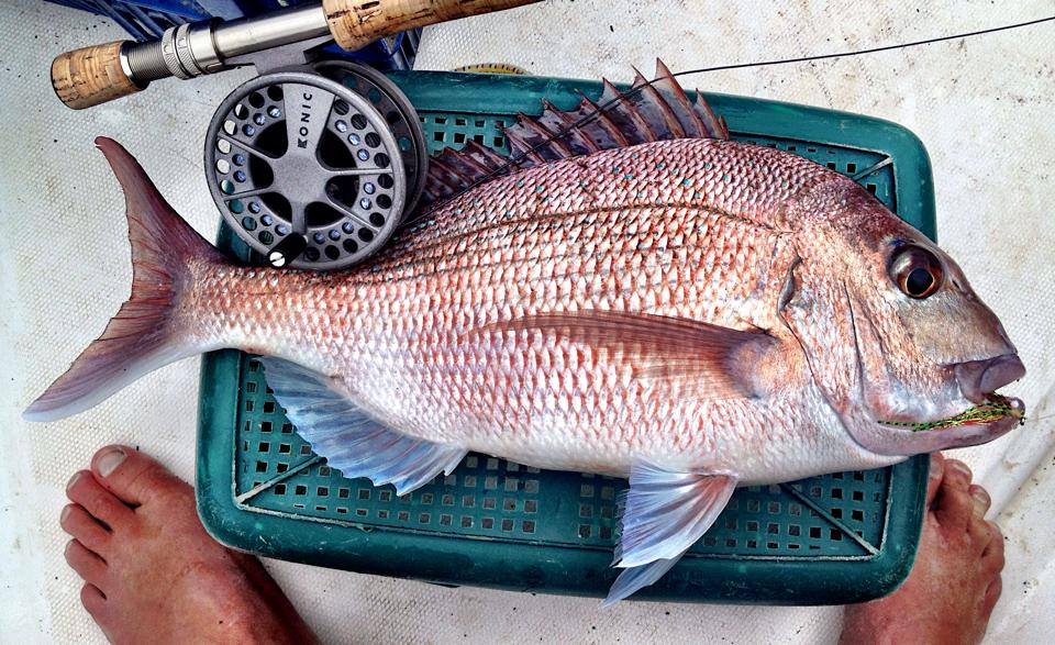 VIDEO – A SALT FLY LIFESTYLE – Active Angling New Zealand