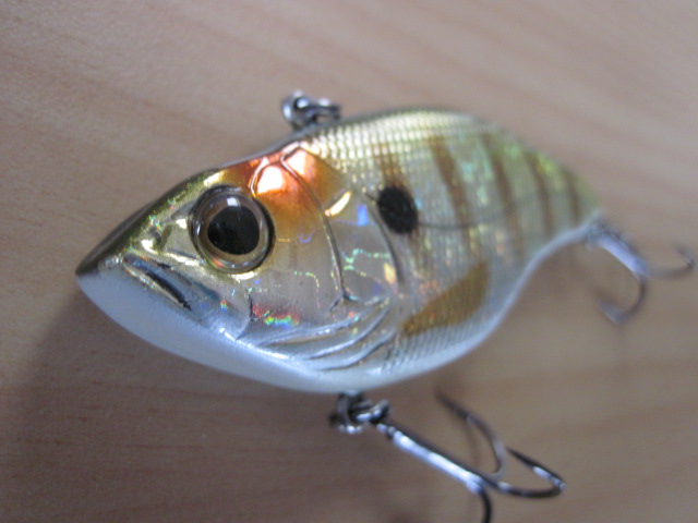 HOW TO BECOME A BETTER LURE FISHER – Active Angling New Zealand