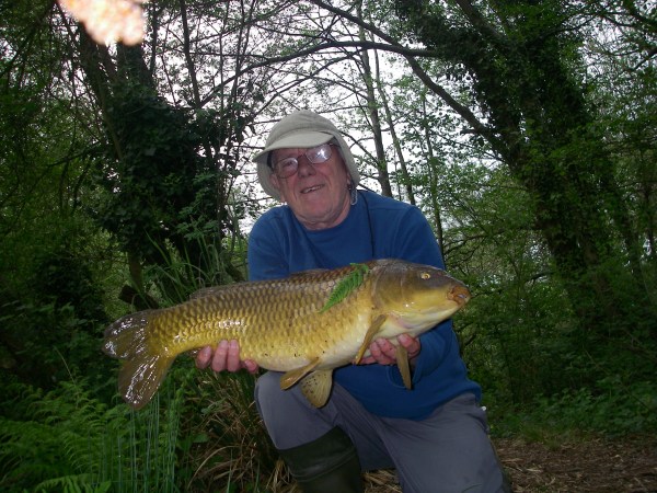 HOW CARP FEED – Active Angling New Zealand