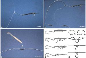 WHAT IS THE BEST LURE COLOUR? – Active Angling New Zealand