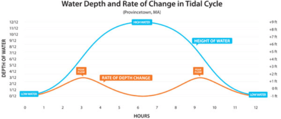 TIDES AND SAFETY – THE RULE OF TWELFTHS – Active Angling New Zealand