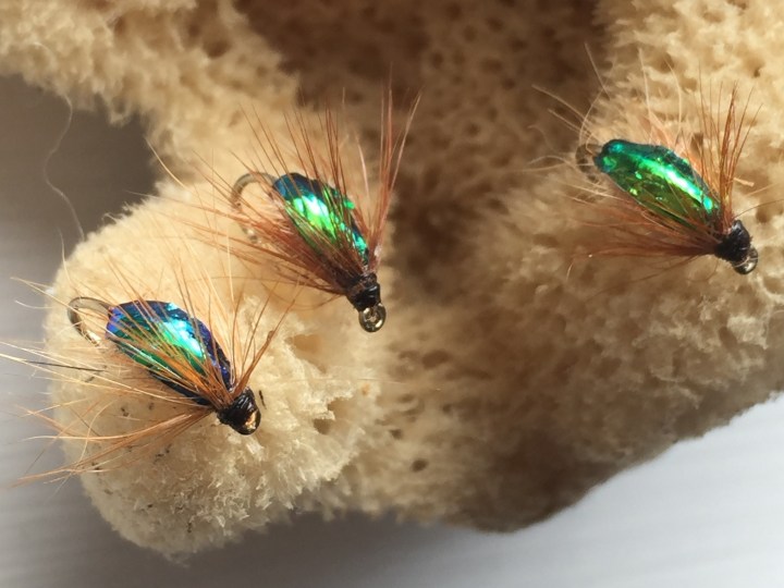 TYING THE IRIDESCENT MANUKA BEETLE – Active Angling New Zealand