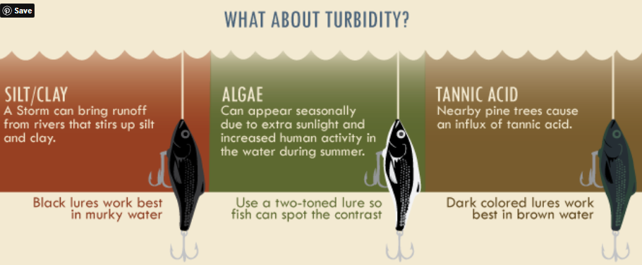 HOW TURBIDITY AFFECTS FISH BEHAVIOUR – Active Angling New Zealand